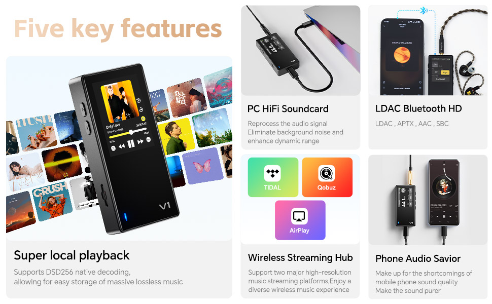 TempoTec Variations V1 Music Player